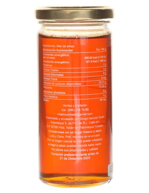 Miel Dzidzilche Mukab 300 g 3